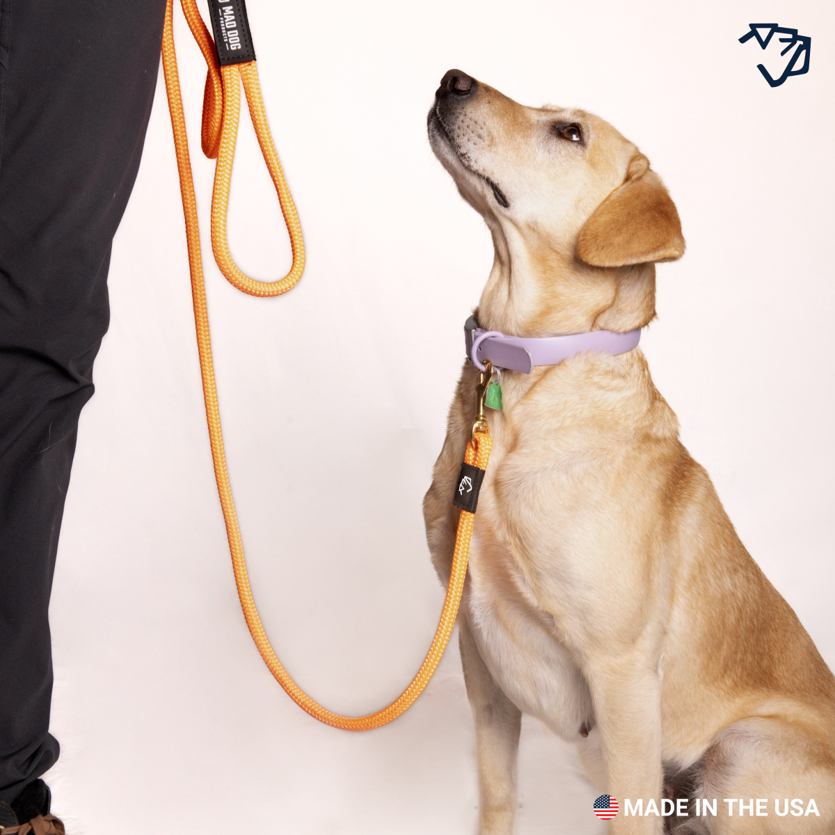 Standard Clip Leash - Premium - Mad Dog Products