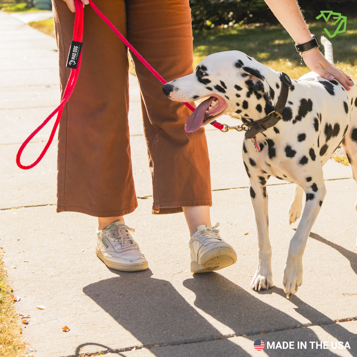 Standard Clip Leash - Premium - Mad Dog Products