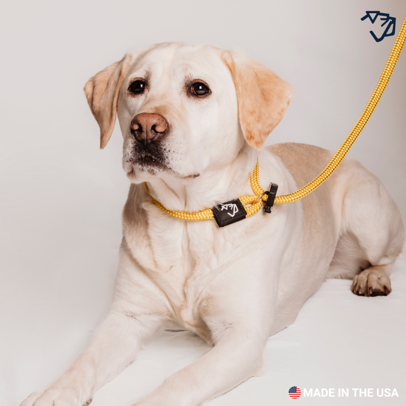 English Slip Leash - Premium - Mad Dog Products