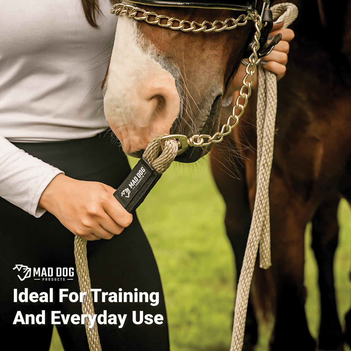 Premium Horse Lead with Brass Snap - Mad Dog Products